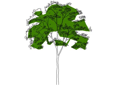 Elevation Tree Dwg File Cadbull