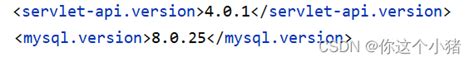 springboot起步依赖介绍、以及使用boot的pom xml解析（超详细） springboot项目pom xml文件 csdn博客