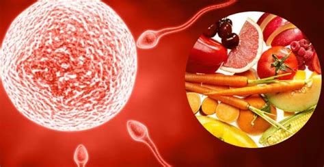 6 Foods To Increase Sperm Count You Should Know