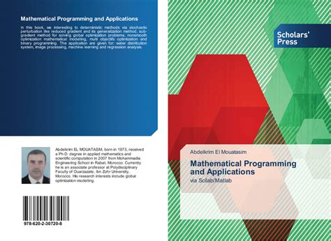 pdf mathematical programming and applications via scilab matlab