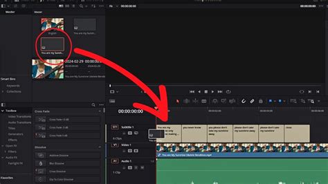 How To Add Multiple Subtitles In DaVinci Resolve 18 2024