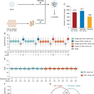 High Throughput Proteomic Profiling Of Mouse Zygotes By Single Cell