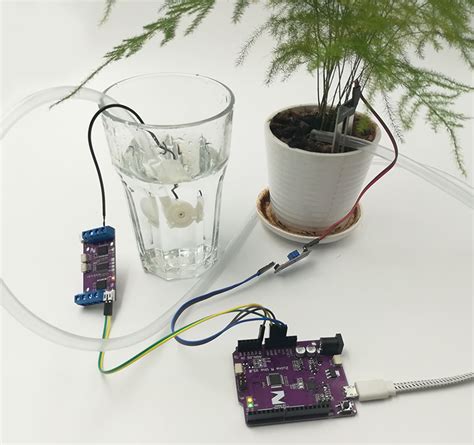Automatic Plant Watering System