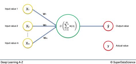the ultimate guide to artificial neural networks ann blogs superdatascience machine