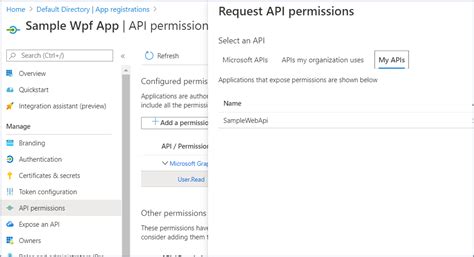 the code blogger wpf app and web api using azure ad and msal
