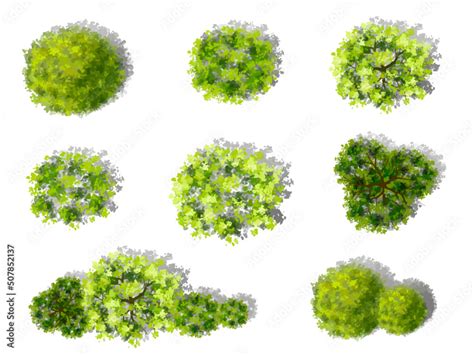 Vector Watercolor Green Tree Top View Isolated On White Background For