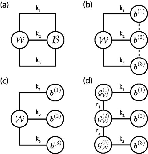 derivation of the tensor network b splines model of order 3 download scientific diagram