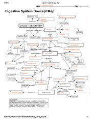 Katelyn Grays Copy Of Digestive System Concept Map Pdf Katelyn