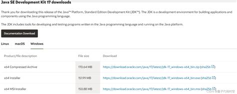 windows11安装jdk17 idea2021 tomcat10一步到位配置教程 jdk17对应的tomcat版本 csdn博客