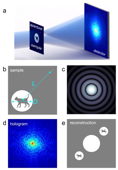 schematic of the fourier transform holography setup t