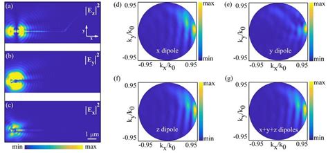 fdtd based numerical calculations to understand the directional download scientific diagram