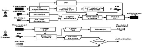 medical watermarking system modules download scientific diagram