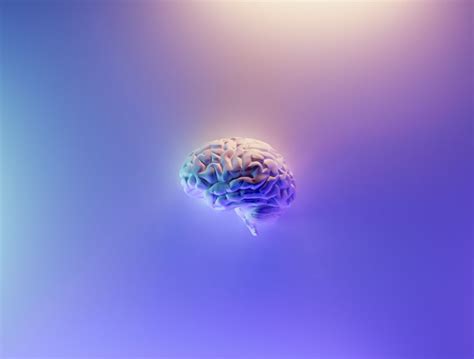 The Most Detailed Map Of The Human Brain So Far