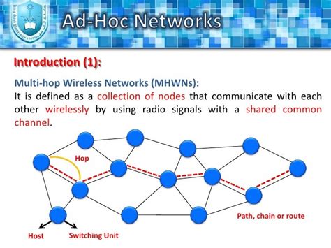 ad hoc networks