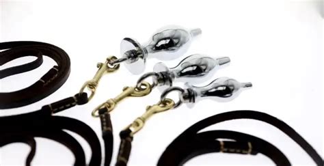 Ass On Leash Walk Your Sub Stainless Steel Anal Plug With Lock Expanding Assasslock Butt