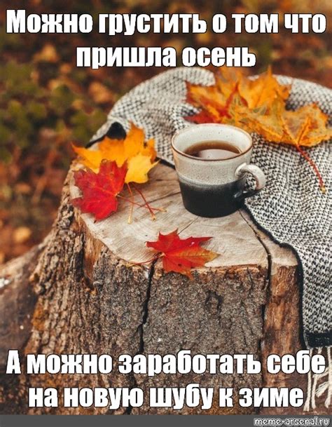 Мем Можно грустить о том что пришла осень А можно заработать себе на