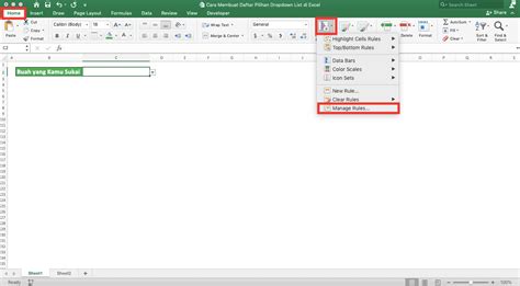 Cara Memberi Pilihan Pada Excel