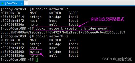 docker学习：外部浏览器访问容器 容器访问容器 访问容器的常用5种方式 p p 详解 docker run p csdn博客