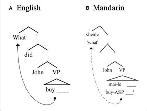 syntactic representations for a english wh questions and b download scientific diagram