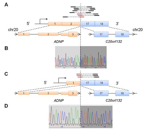 Identification Of Gene Fusion Transcripts By Transcriptome Sequencing