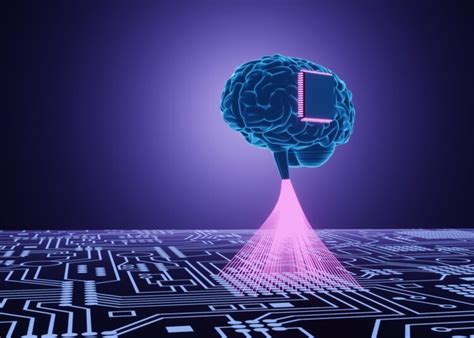 Une approche révolutionnaire de lIA utilisant des organoïdes cérébraux