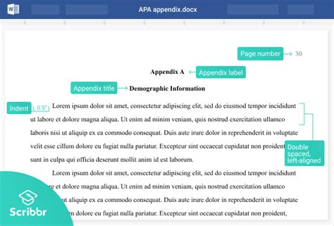 How To Create An APA Style Appendix Format Examples