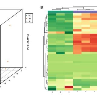 FIGURE Analysis Diagram And Heat Map Clustering A D PCA Analysis