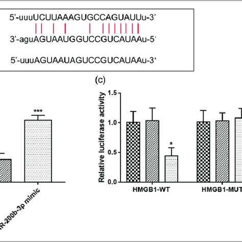 HMGB1 Is A Direct Target Gene Of MiR 200b 3p A The Complementary