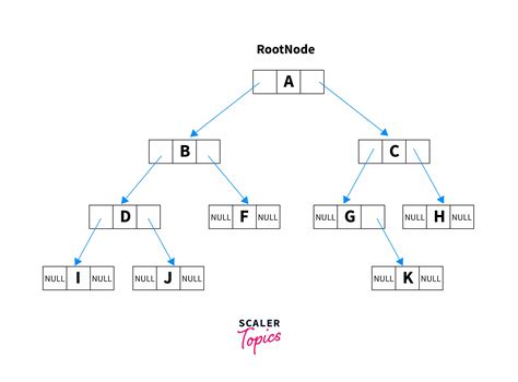 binary tree in c types and implementation scaler topics