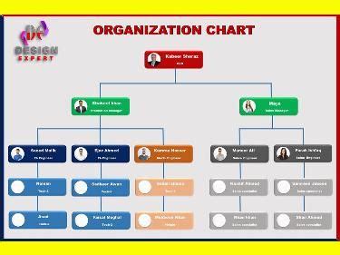Workflow Improvement Project Organization Chart