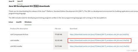 windows同时安装两个版本jdk，并实现动态切换版本jdk8和java17教程 jdk8和jdk17可以一起安装嘛 csdn博客