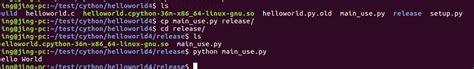井民全觀點 jing s perspective [cython] 直接使用編譯出來的 python modle