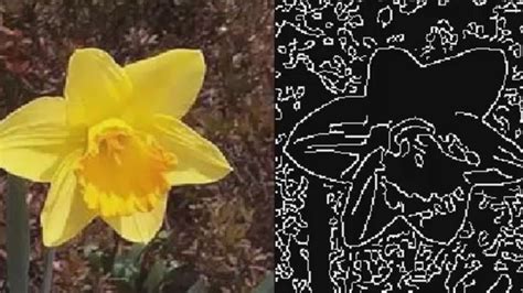Edge Detection With MATLAB Video MATLAB