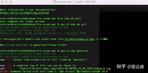 为什么我用npm安装prisma会卡住或显示错误？ 知乎