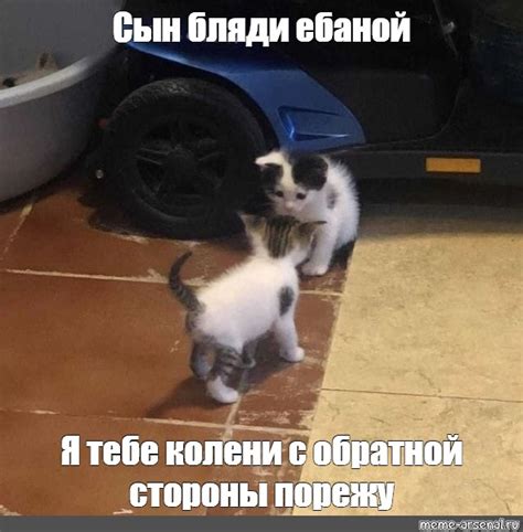 Мем Сын бляди ебаной Я тебе колени с обратной стороны порежу Все