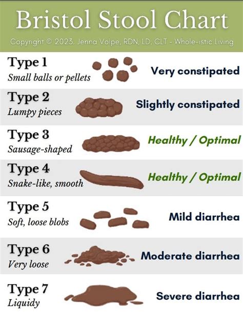 Cute Bristol Stool Chart Digital PDF Printable Lab Poster 41 OFF