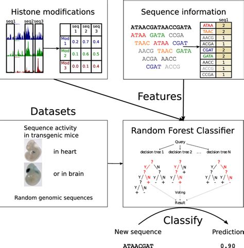 scheme of our machine learning approach to predict enhancers download scientific diagram