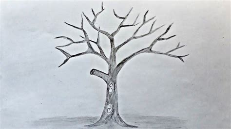How To Draw A Tree Without Leaves YouTube