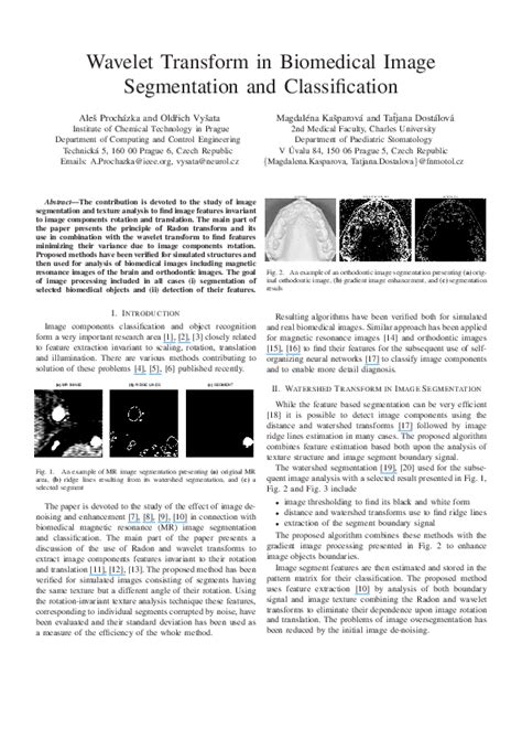 pdf wavelet transform in biomedical image segmentation and classification aleš procházka