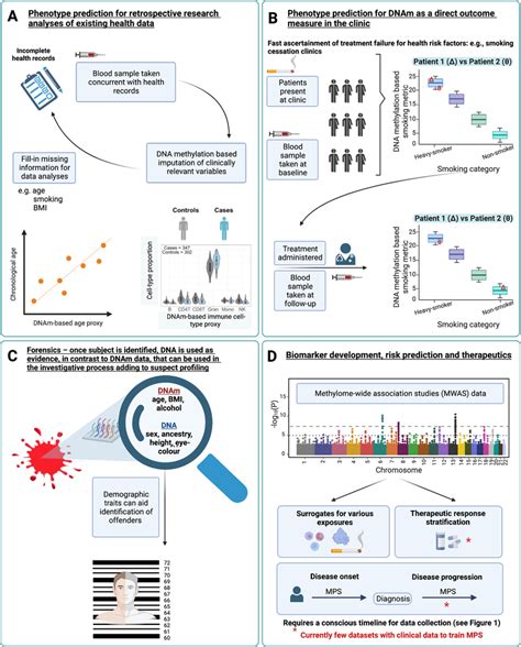applications of dna methylation based trait prediction prediction of download scientific
