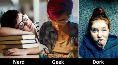 Nerd Vs Geek Vs Dork Venn Diagram