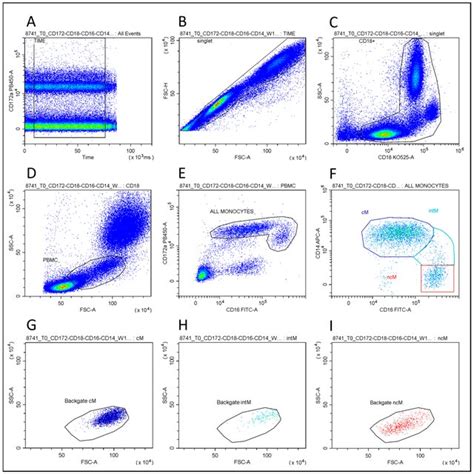 Flow Cytometric Gating Strategy Used To Identify Monocyte Subsets The
