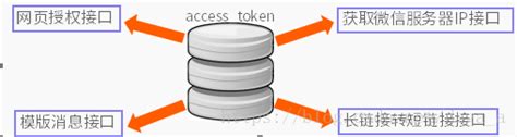 微信access token的介绍 程序员大本营