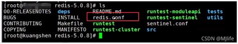 linux安装redis完整步骤 性能测试方法 root 845c19e75754 usr local bin redis benchmark csdn博客