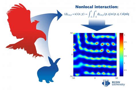 mathematician refines model of predator prey relations in the wild