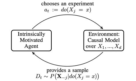 optimal experimental design via bayesian optimization active causal structure learning for