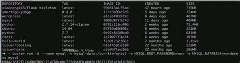 docker学习笔记（四） 持久化数据，安装docker compose csdn博客