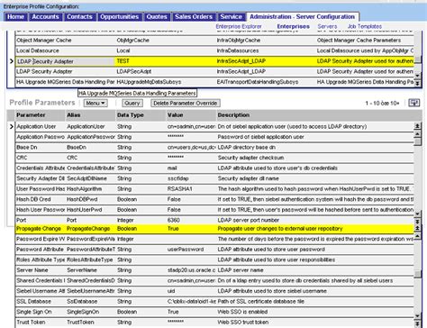 6 integrating siebel 7