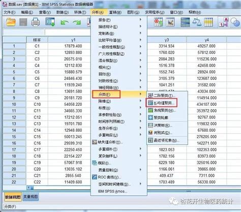 【spss数据分析】spss聚类分析（k 均值聚类）的软件操作与结果解读 ——【杏花开生物医药统计】 知乎