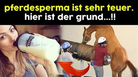 Warum Ist Pferdesperma So Teuer Die Teuersten Flüssigkeiten Von Tieren Youtube